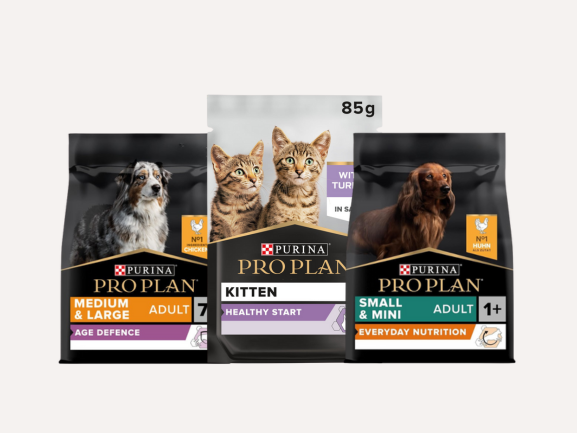 Buy Purina Pro Plan Kibble Online in Dubai, UAE – PetCentral ...