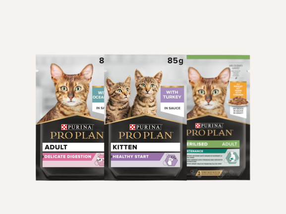 Buy Purina Pro Plan Pouches Online in Dubai UAE – PetCentral ...