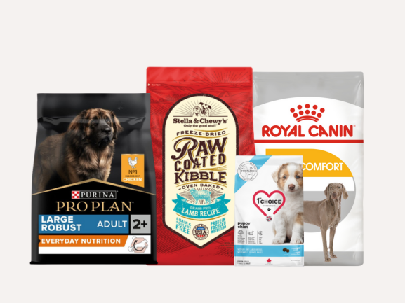 Large | Maxi Breed – Page 2 – PetCentral_AE