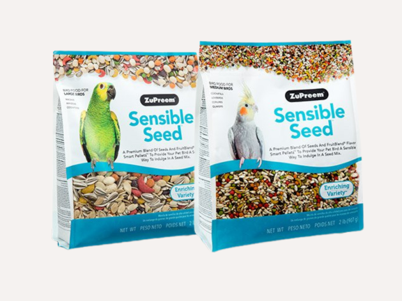 Bird food | High Quality Medium, Large Bird Food & Treats | Petcentral ...