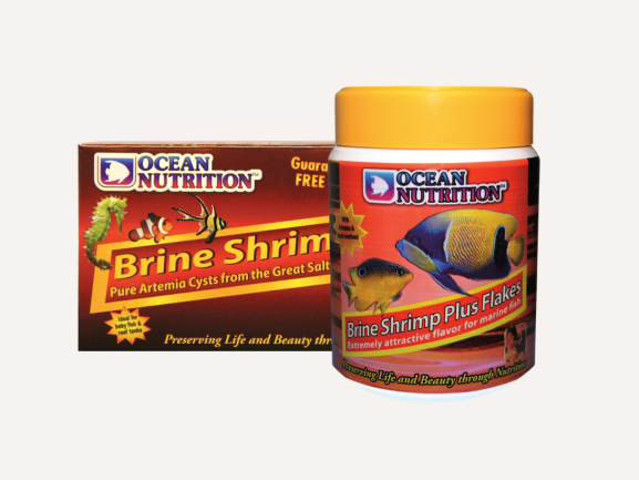 Brine Fish Food - Low Price - Premium Brands - Fast Shipping ...