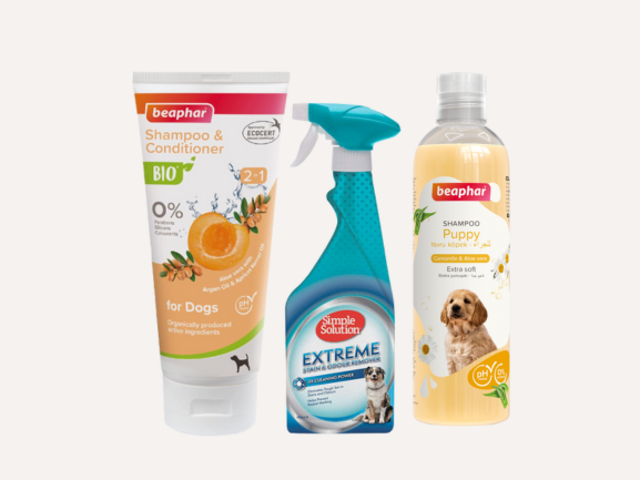 Buy Dog Hygiene Products For A Healthy Dog, Top Brands, Low Price ...