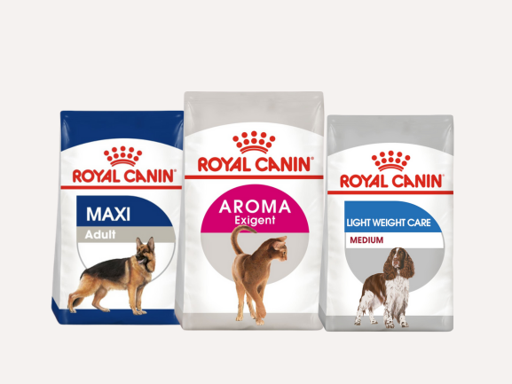 Buy Royal Canin Kibble in Dubai UAE | PetCentral – PetCentral UAE