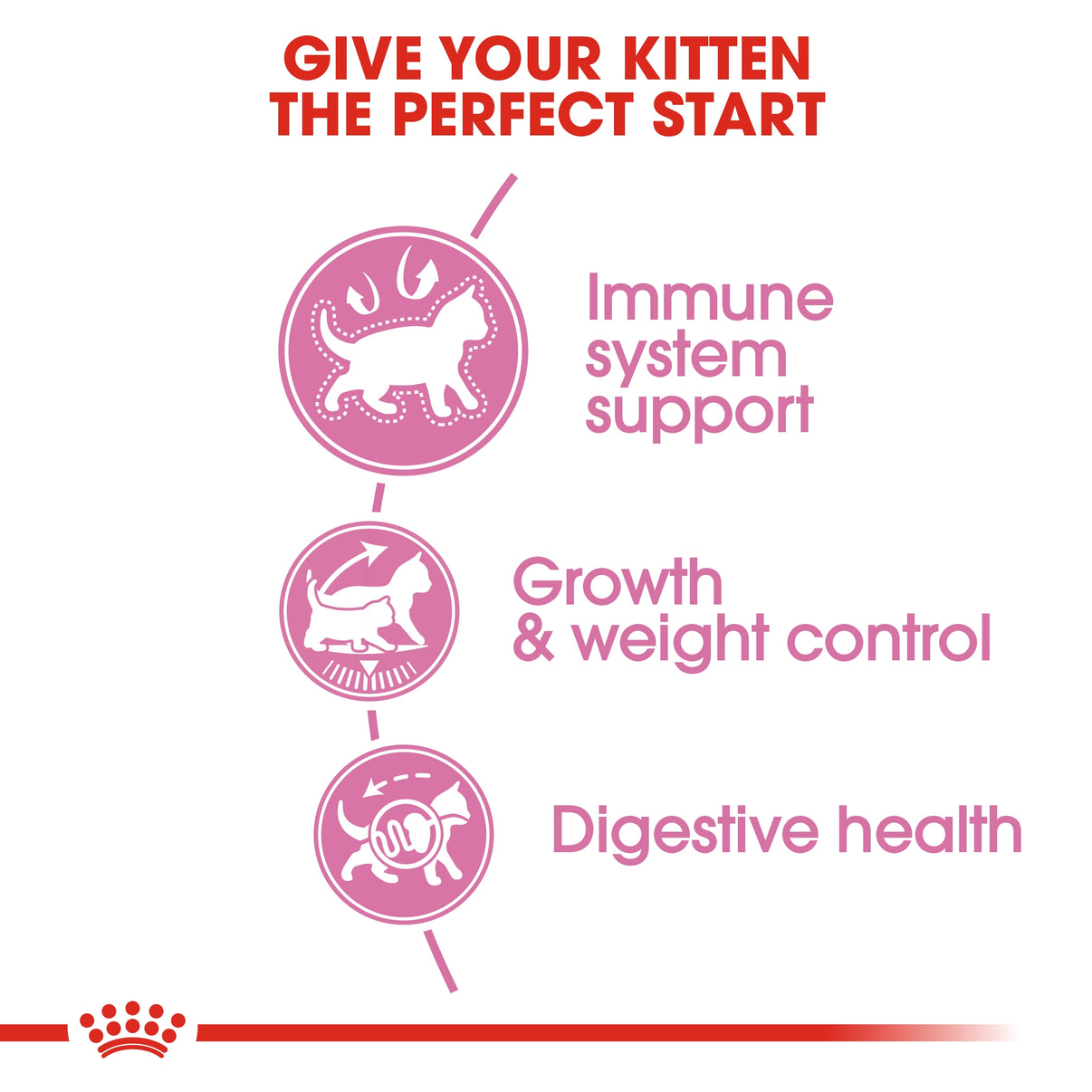 Royal Canin Kitten Sterilised Dry Food - 2kg – PetCentral UAE
